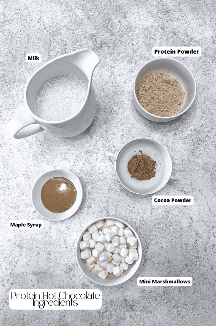 Easy Protein Powder Hot Chocolate Recipe (Dairy Free) - Pretty ...