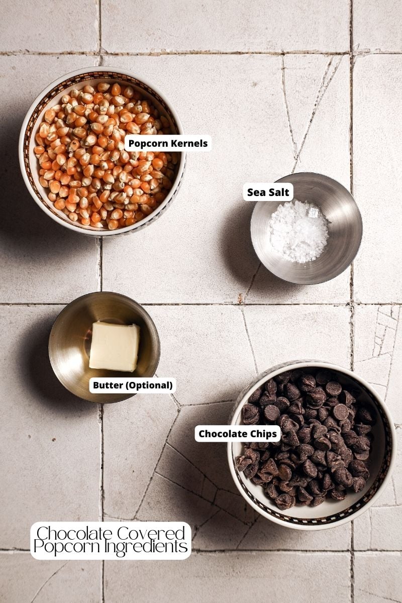 Chocolate Covered Popcorn - Pretty Delicious Life