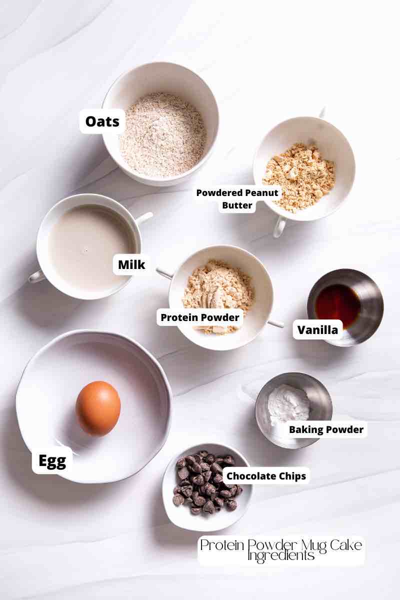 Chocolate Chip Peanut Butter Protein Mug Cake - Pretty Delicious Life