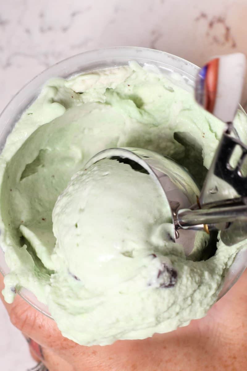 Ninja Creami Mint Chocolate Chip Protein Ice Cream - Pretty Delicious Life
