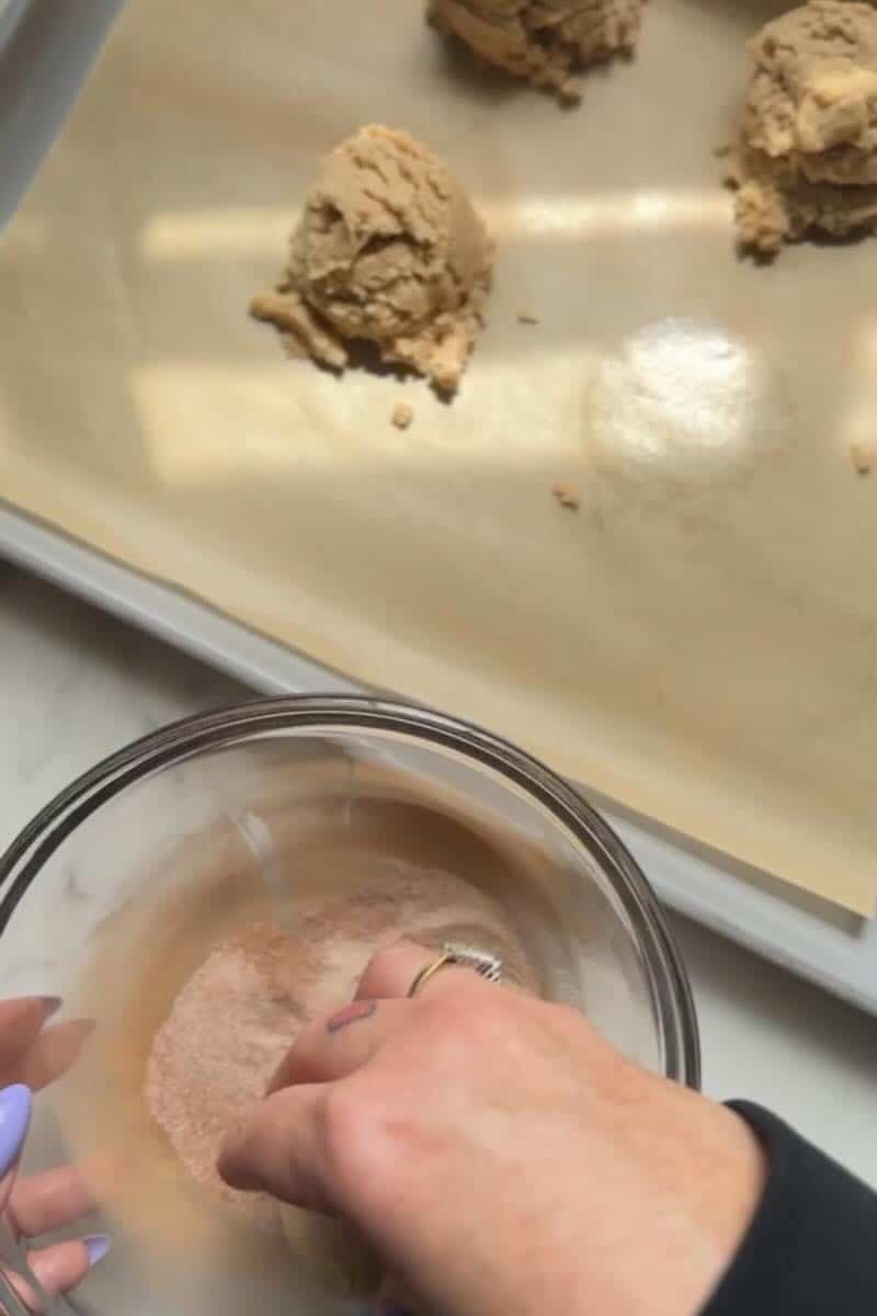 Protein Powder Snickerdoodle Cookies (Gluten Free) - Pretty Delicious Life